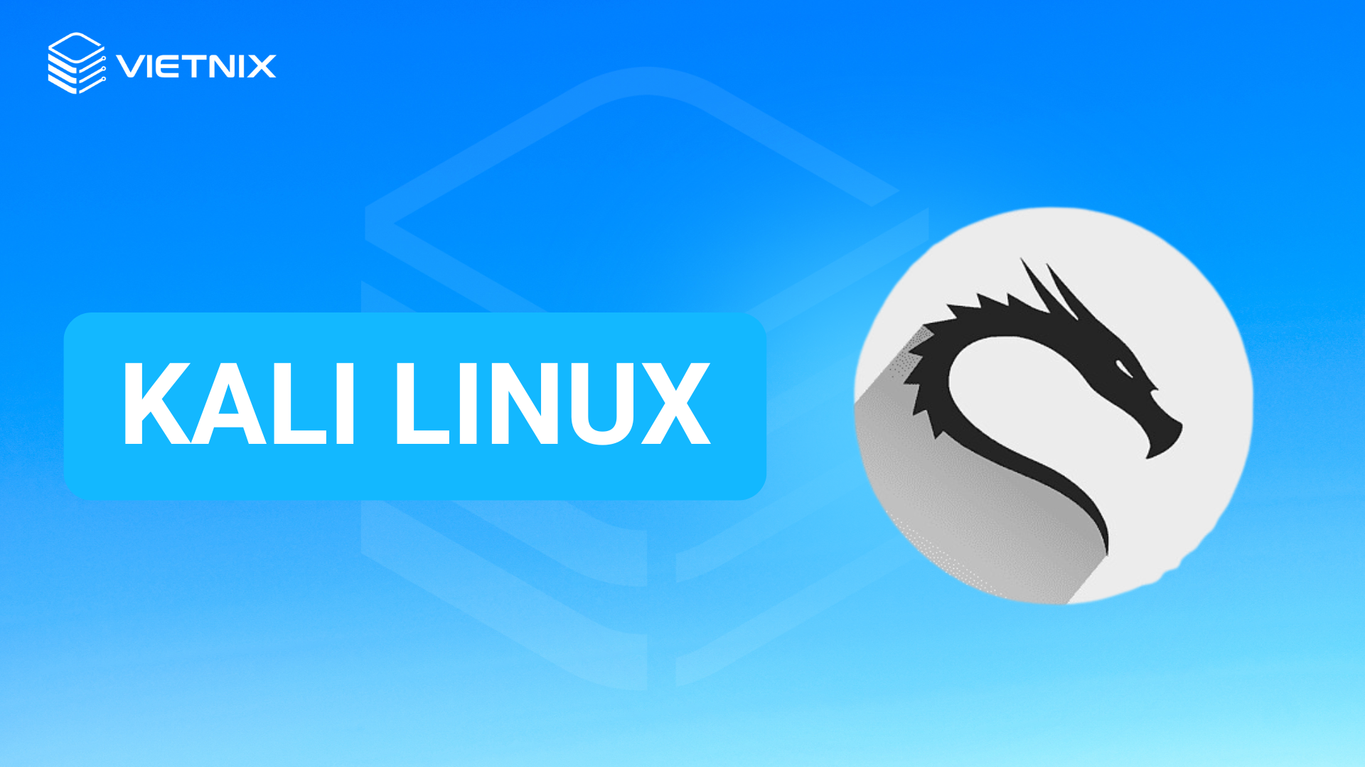 Kali Linux là gì? Tổng quan và tính năng của hệ điều hành