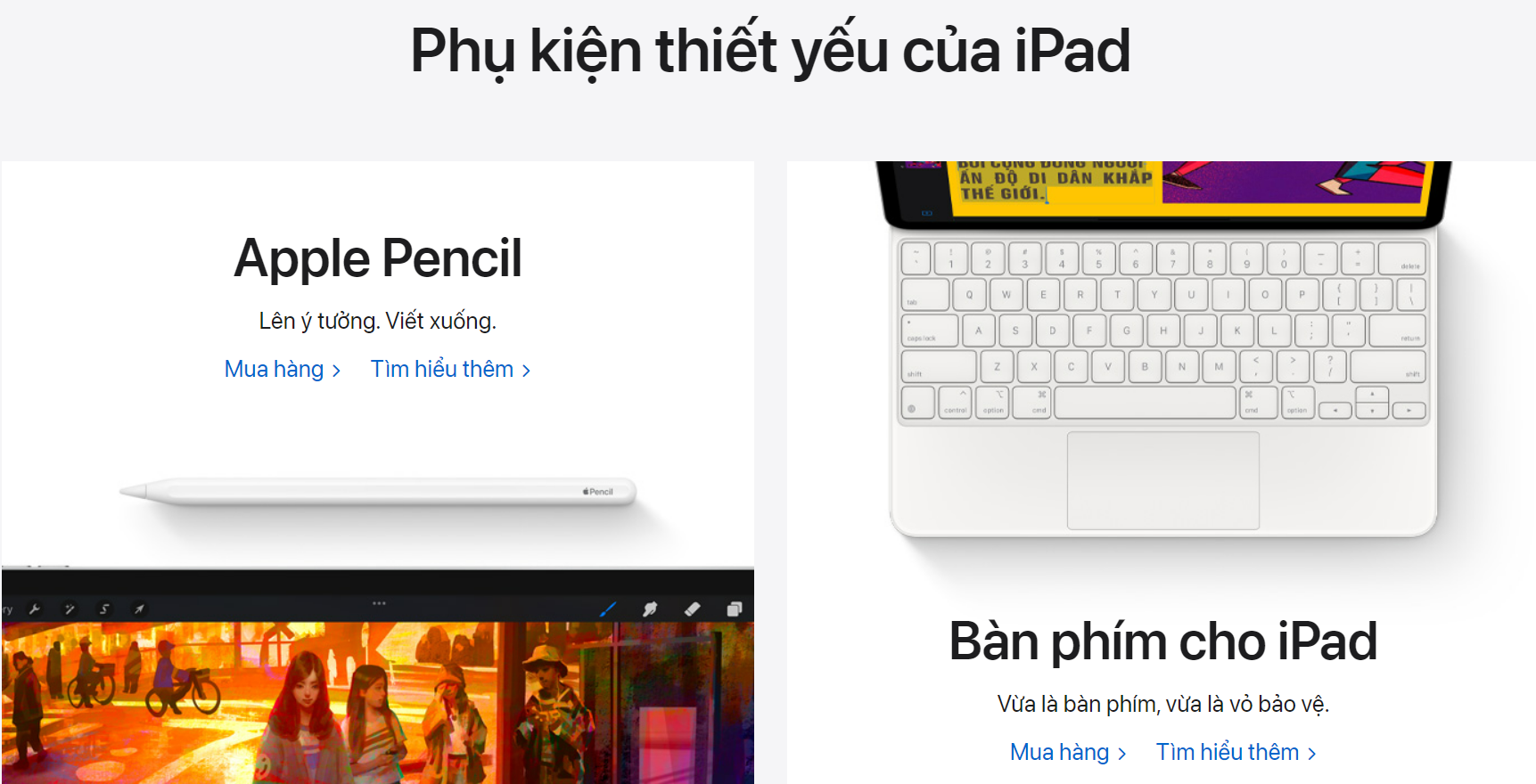 Layout website là gì? Cách thiết kế layout web chuyên nghiệp