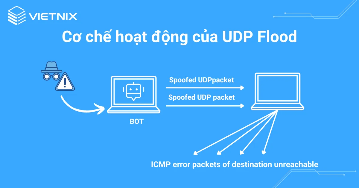 Tấn công UDP Flood 2024
